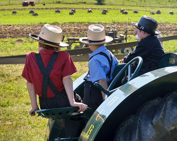 Three young farmers survey their domain from the best seat in the house – the back of a tractor heading to fields their ancestors have worked for generations.