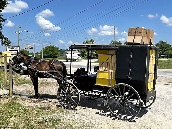 The iconic Amish buggy – transportation that never goes out of style, requires no charging station, and comes with its own emissions system.