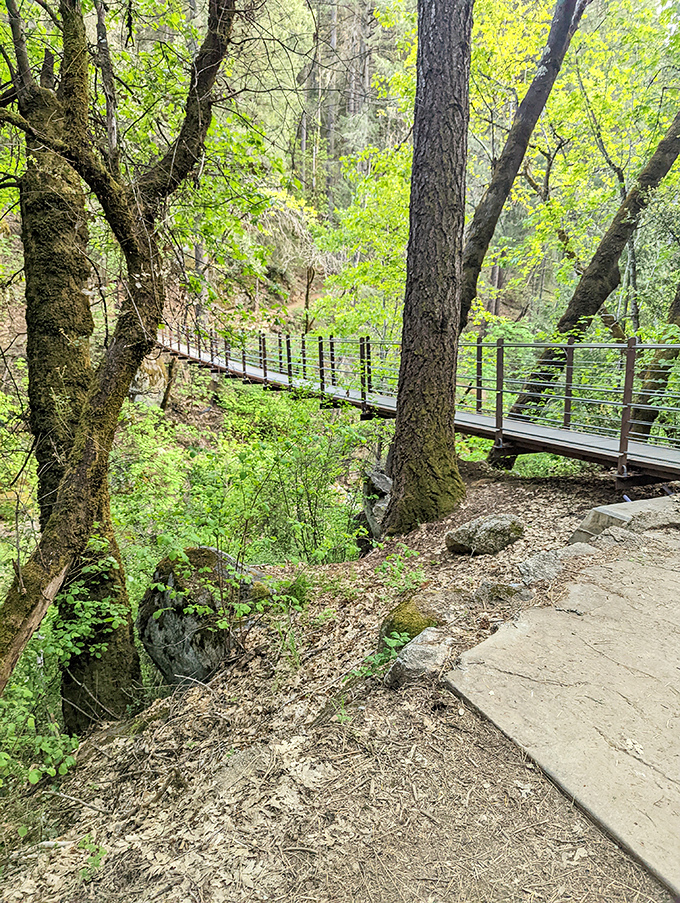 Walking this suspension bridge feels like stepping into an adventure novel—a swaying pathway through autumn gold that promises discovery.