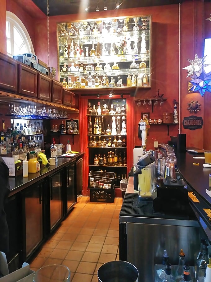 This tequila display isn't just impressive—it's practically a museum exhibit dedicated to the art of agave appreciation.