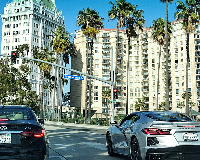Where luxury cars and luxury views collide—Beach Access Road reminds us that in Long Beach, even the commute can be stylish.