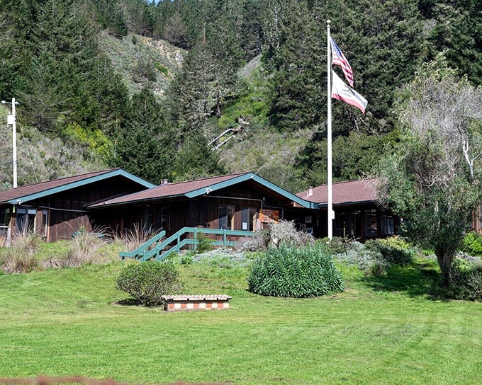 The Bolinas-Stinson School – where local kids learn reading, writing, and the sacred art of never revealing directions to tourists.