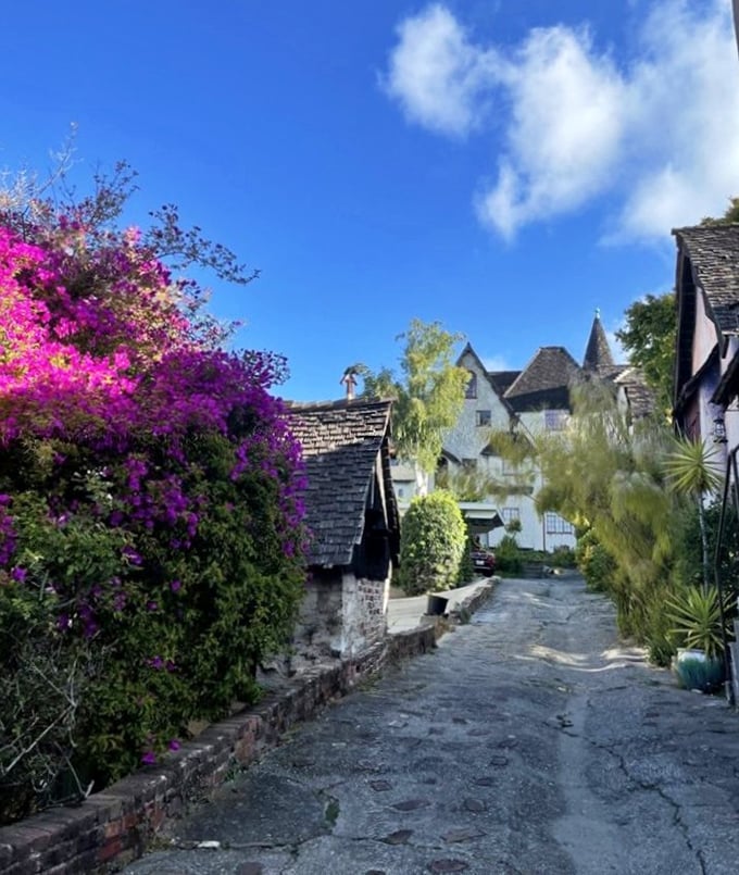 Bougainvillea doesn't just grow here—it celebrates. These vibrant blooms frame the pathway like nature's own confetti, constantly throwing a colorful party.