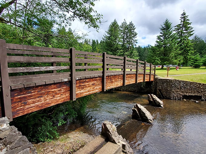 Not just any old bridge over troubled water—this crossing offers front-row seats to nature's greatest hits album.