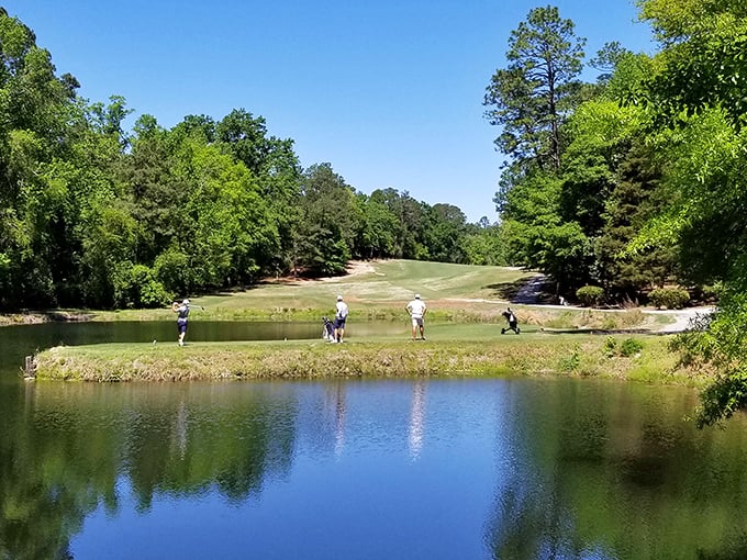 The Camden Country Club offers golf, swimming and social opportunities at membership rates that won't have you eating ramen for dinner.