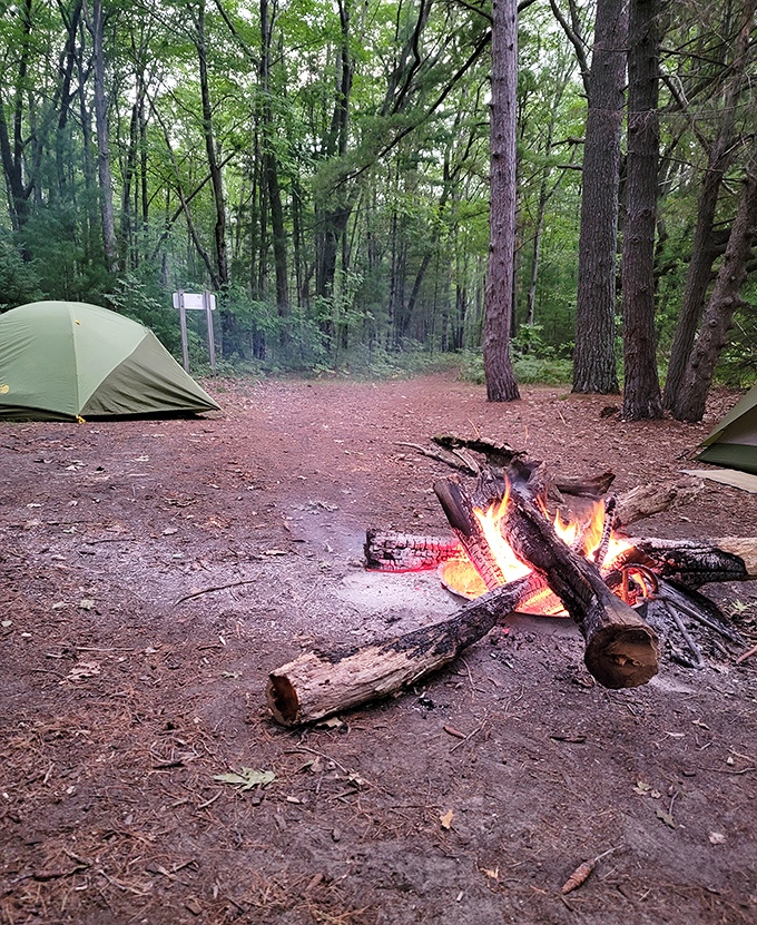 Primitive camping at its finest—where the evening entertainment consists of hypnotic flames and conversation instead of Netflix and notifications.