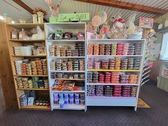 The candy section isn't just a sugar display—it's childhood nostalgia in technicolor, where grown-ups remember what it's like to be eight again.