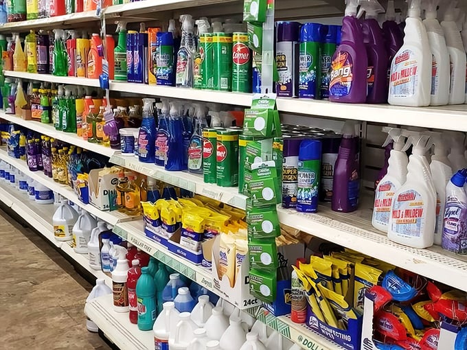The cleaning aisle—a kaleidoscope of solutions for life's messes. Wisconsin homes sparkle thanks to these budget-friendly bottles.