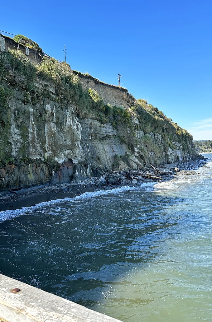 Dramatic coastal cliffs remind visitors that California's coastline was sculpted by the persistent Pacific, creating natural drama around every corner.