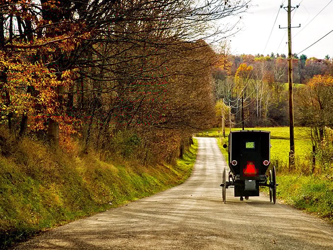 Fall's paintbrush transforms country roads into galleries, while the steady clip-clop of hooves provides nature's perfect soundtrack. 