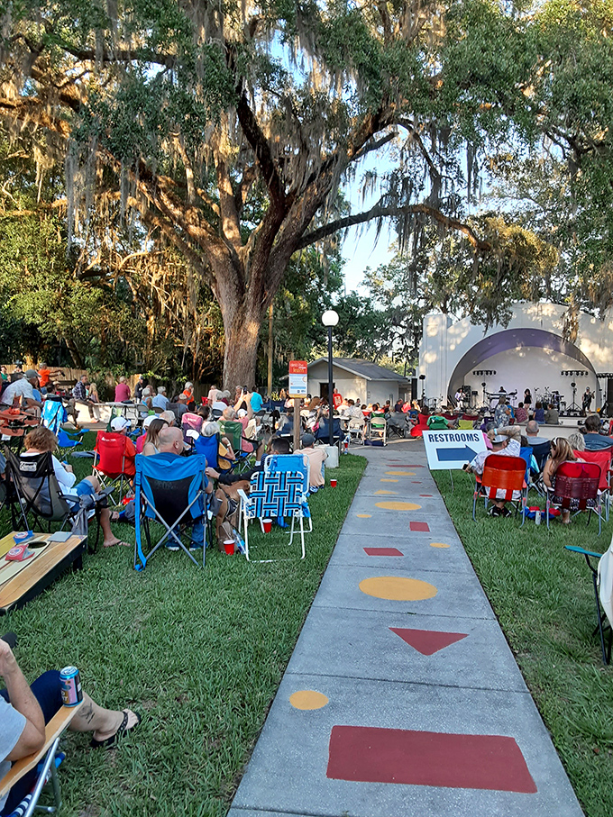 Live music under ancient oaks—Brooksville's community gatherings blend natural beauty with hometown entertainment.