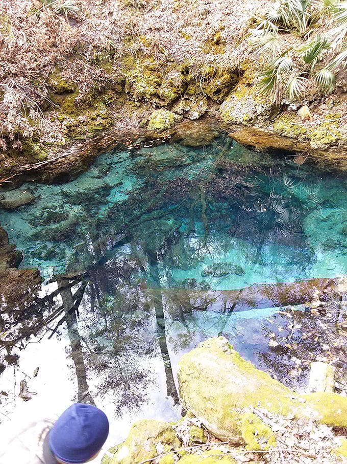 A window to Florida's soul—this crystal portal reveals the limestone bones beneath the state's sandy skin.