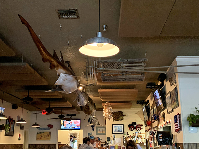 Marine life watches over diners from above, creating the perfect backdrop for seafood stories and "you should have seen the one that got away" tales.