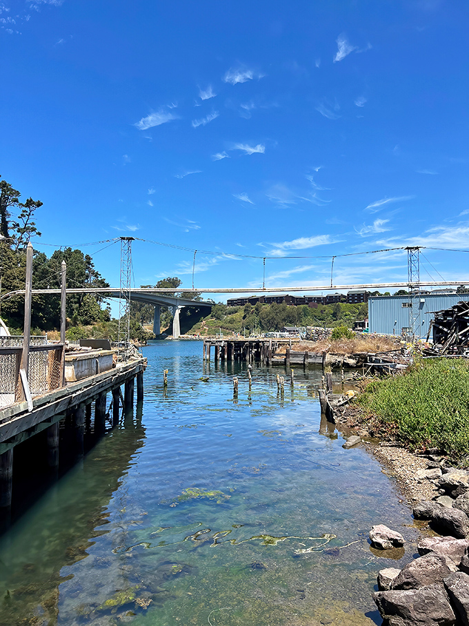 Noyo Harbor's sparkling waters provide both the backdrop and the bounty for Sea Pal Cove's fresh seafood offerings. Nature's perfect dining room.