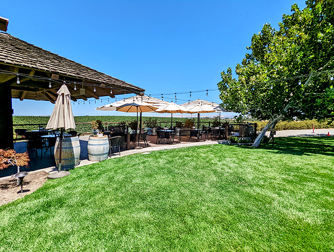 Outdoor tasting areas transform wine sampling into a sensory experience – where vineyard views complement what's in your glass.