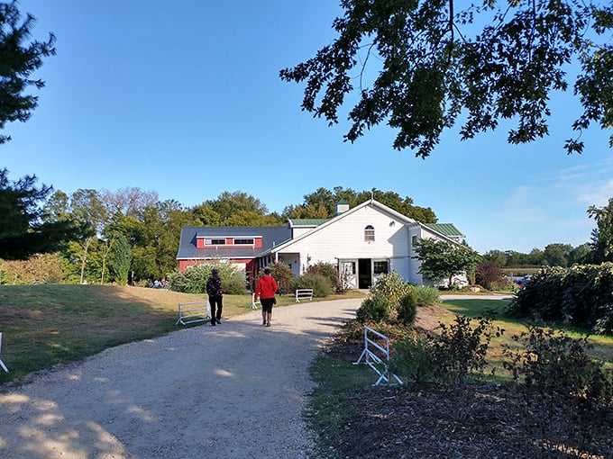 Walking paths invite exploration at what appears to be a local farm. Rural Wisconsin's charm lies in these simple, welcoming entrances to natural beauty.