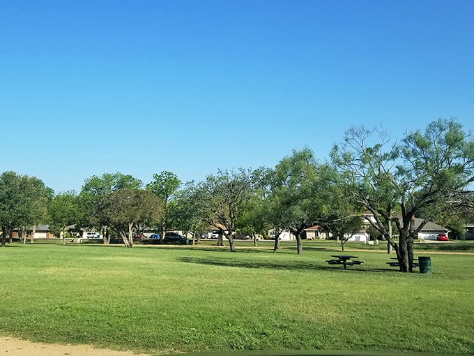 Elm Creek Park offers that perfect blend of open space and shade trees, where picnic blankets seem to unfurl themselves in invitation.