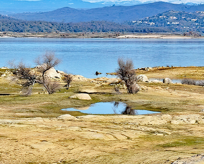 Folsom Lake's shoreline reveals California's water story—part recreation paradise, part stark reminder that Mother Nature doesn't always follow our consumption plans.