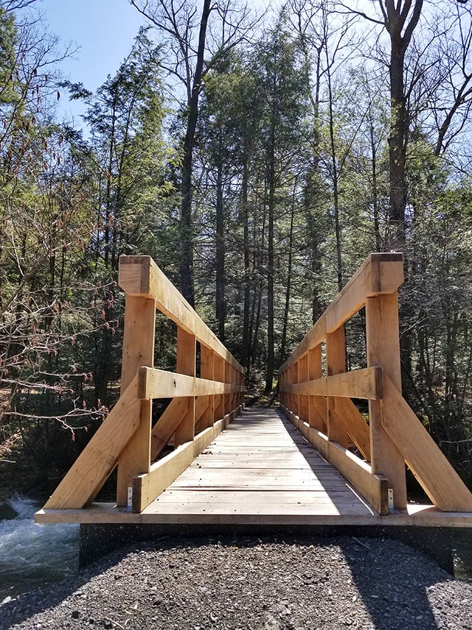This newly constructed footbridge invites you to cross over to whatever adventure awaits on the other side.