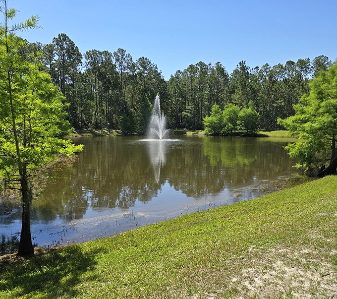 This serene pond with its central fountain offers a moment of tranquility—nature's version of a meditation app, but with better graphics.