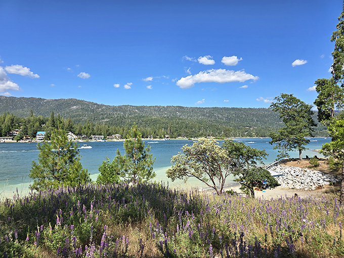 Wildflowers and water views create postcard-worthy moments – the kind that cost nothing but create memories worth everything. 