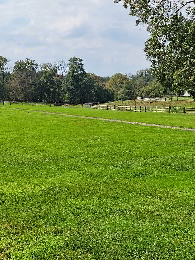 Beyond the bridge lies the pastoral landscape that defines Lancaster County—rolling fields, split-rail fences, and the promise of simpler pleasures.