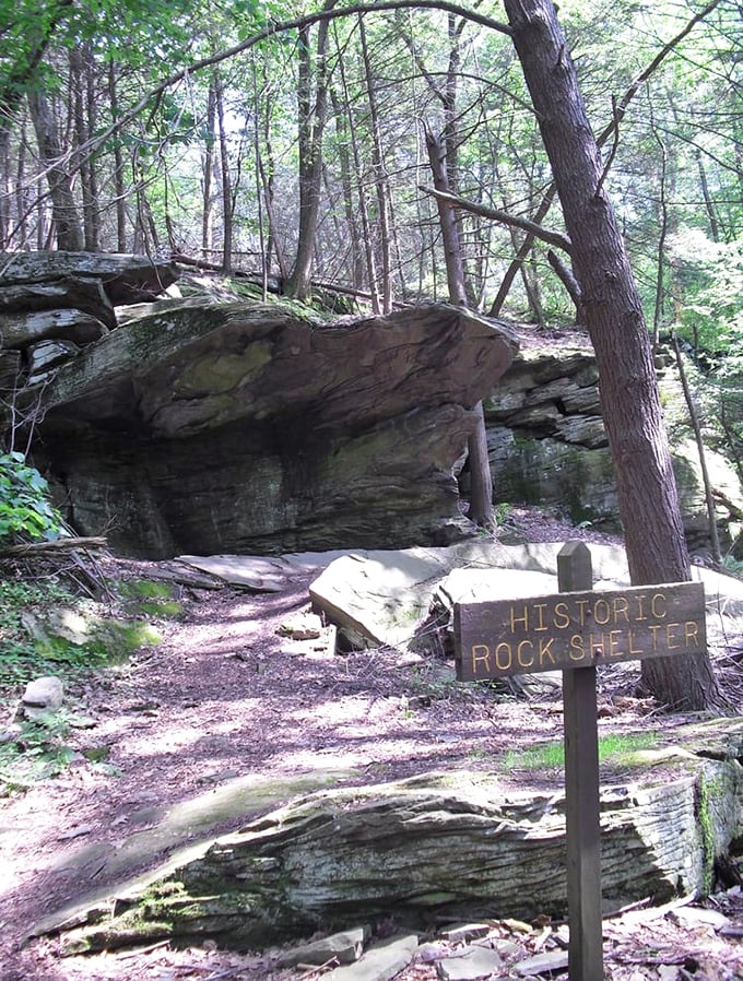 Ancient rock formations tell stories older than any bestseller. This natural shelter has been hosting visitors since before "glamping" was even a concept.