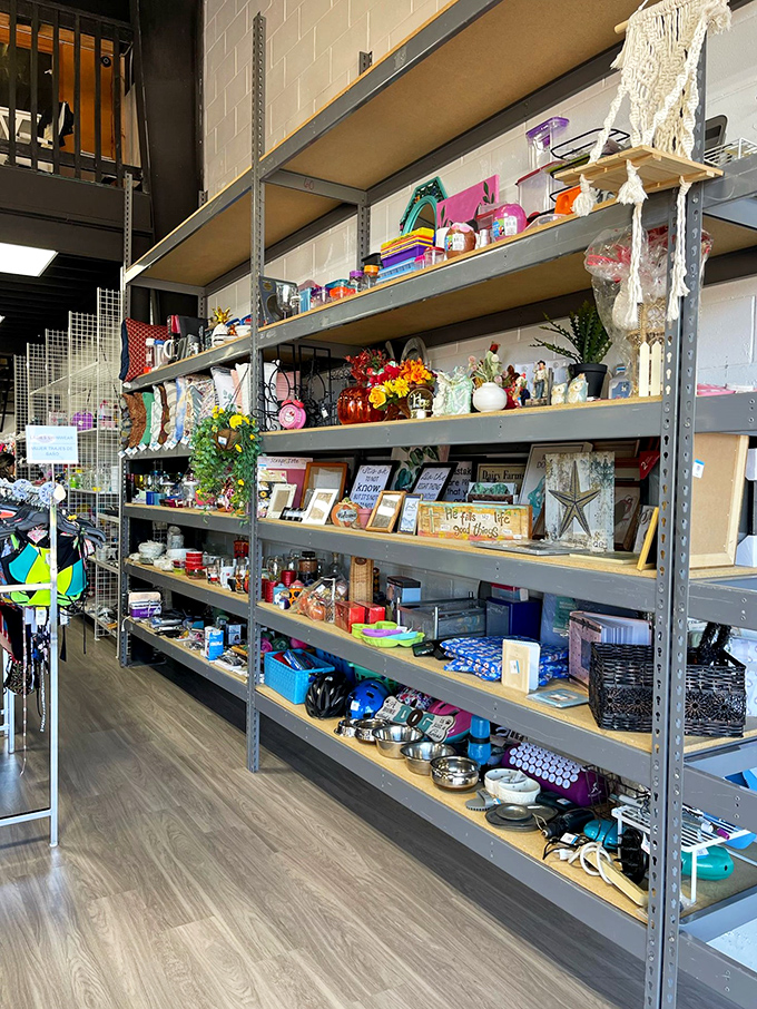 Home décor treasures line industrial shelving – from practical kitchen tools to quirky conversation pieces that ask, "Where have I been all your life?"