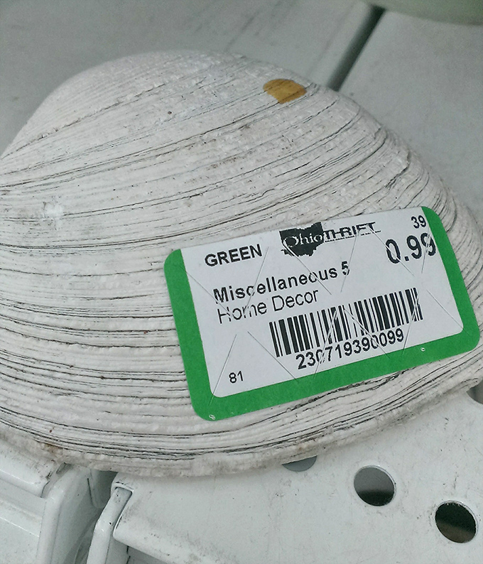 This seashell decoration at 99 cents proves that coastal vibes don't require coastal prices or actual proximity to an ocean.