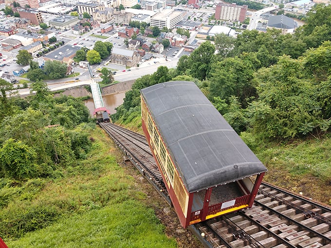 The Inclined Plane—part transportation, part thrill ride, all Johnstown. This engineering marvel has been defying gravity and delighting visitors since before your grandparents were born.