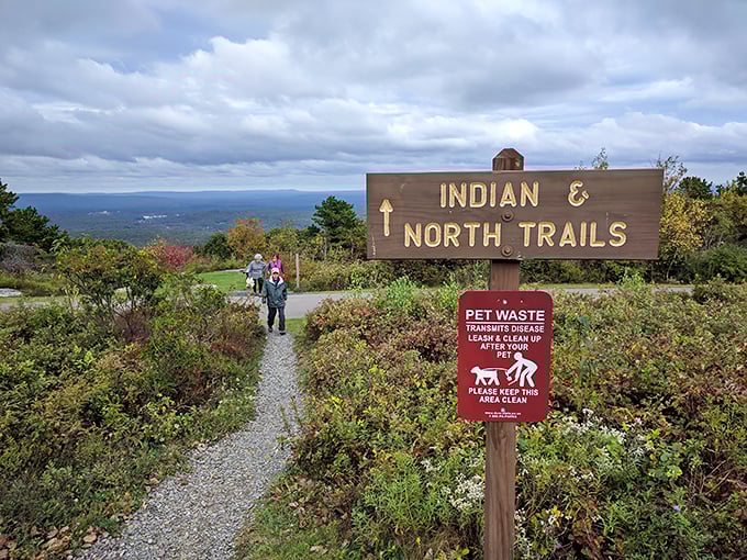 The trail sign promises adventure in two directions, while politely reminding you that even in paradise, you still need to pick up after your dog.