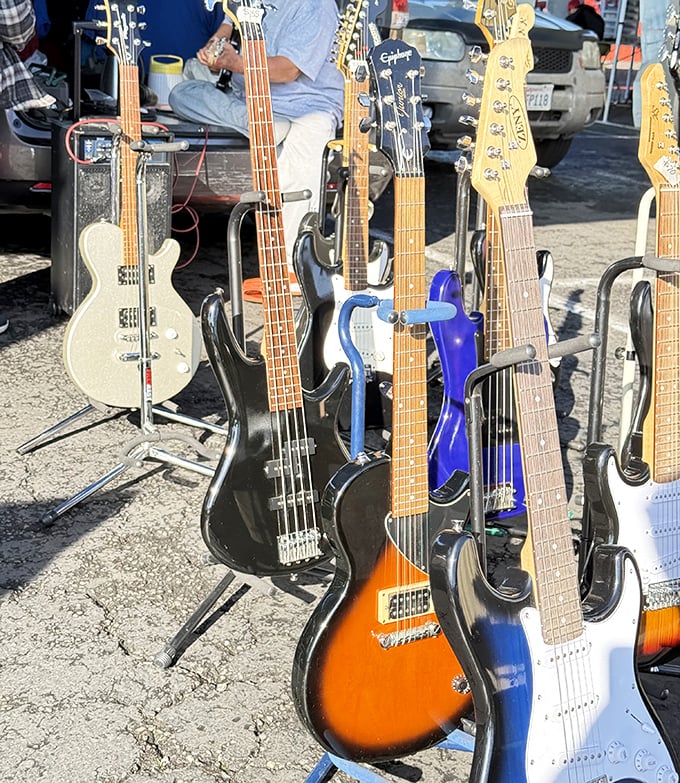 Musicians take note—your next jam session companion is waiting among this lineup of six-stringed possibilities.