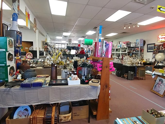 Organized chaos at its finest—every shelf, table and display case holds potential discoveries from practical housewares to conversation-starting oddities.