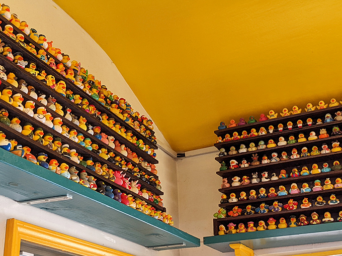 Rubber duckies watch over diners like cheerful breakfast guardians in this whimsical wonderland.
