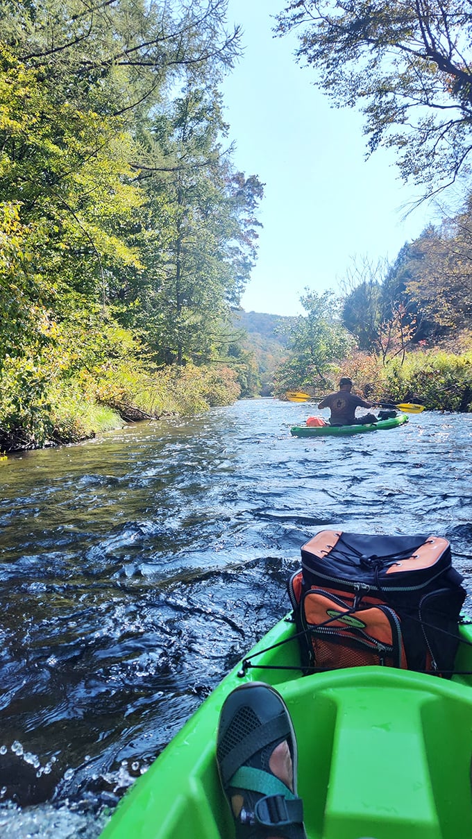 Kayaking through nature's gallery – where every bend in the river reveals another masterpiece and your office seems galaxies away.
