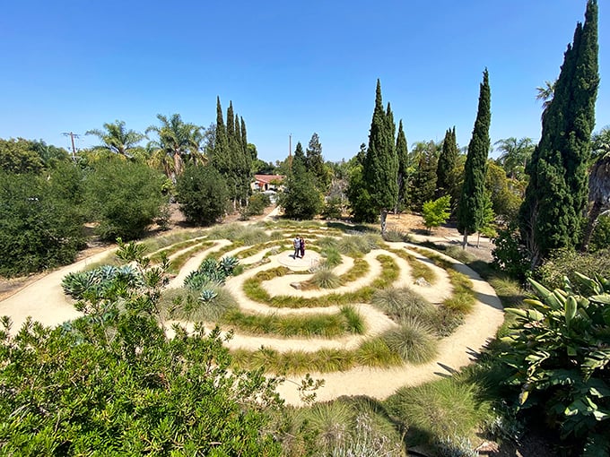 The labyrinth invites contemplative walking among cypress trees. Getting lost has never been so intentional—or so spiritually rewarding.