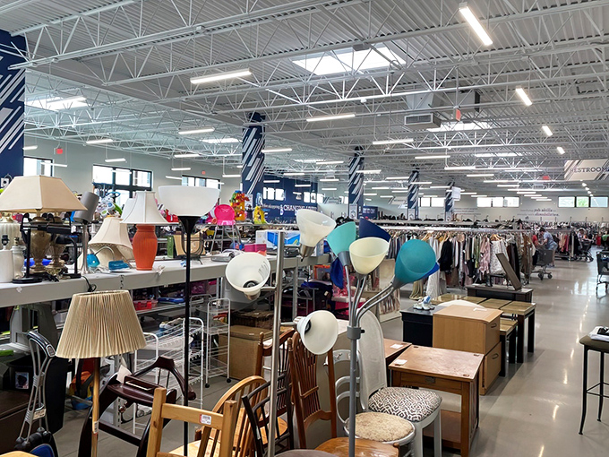 Lamp section looking like a lighting designer's fever dream – mid-century modern sits beside "what era was that from?" in perfect thrift store harmony. 
