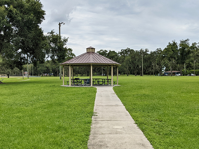 This classic park gazebo has witnessed countless family picnics and community gatherings, standing as a simple monument to small-town togetherness.