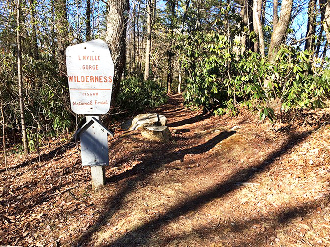 This unassuming sign marks the threshold between everyday life and wilderness wonder—your invitation to step into something extraordinary.