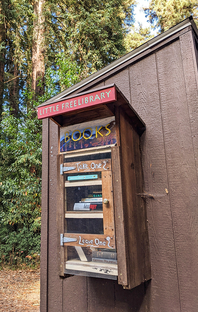 The Little Free Library—where hikers trade paperbacks and prove that even in the wilderness, bookworms find a way to share stories.