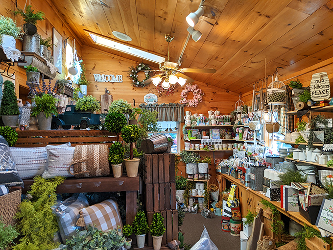 A corner that feels like your most creative friend's Pinterest board came to life. Those wooden accents and greenery aren't just decor—they're a lifestyle invitation.