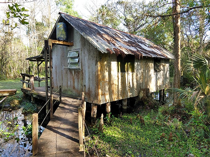 Swamp architecture 101: stilts, weathered metal, and perfect simplicity. This old fishing cabin has stories to tell for those willing to listen.