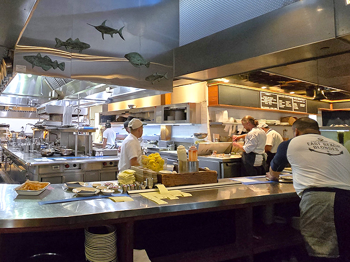 In the open kitchen, metal fish sculptures swim above as chefs below orchestrate seafood symphonies—transparency that builds trust and anticipation.