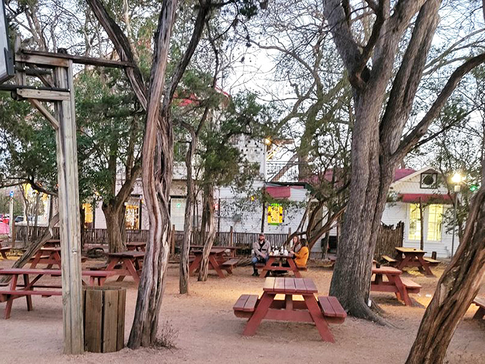 Picnic tables nestled among ancient trees create the perfect outdoor oasis for catching your breath between dances or nursing a longneck in the Texas twilight.