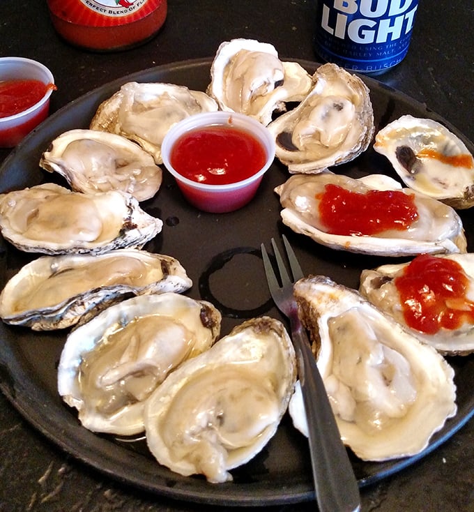 Fresh oysters arranged in a perfect circle—nature's briny treasures waiting for just a drop of cocktail sauce or lemon.