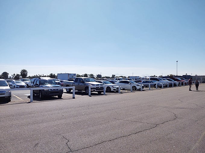 The parking lot stretches endlessly, proof that everyone within a hundred miles knows about this magical place.