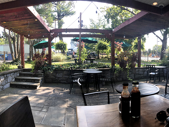 The outdoor patio feels like dining in a secret garden, where BBQ sauce bottles stand guard over conversations that flow as easily as sweet tea.