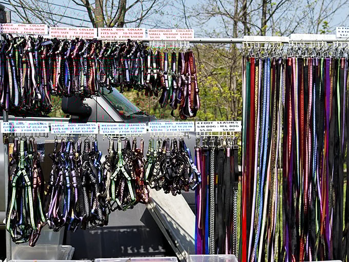Leashes and collars in every conceivable color and pattern. Because why should humans have all the fun accessorizing for their morning walks?