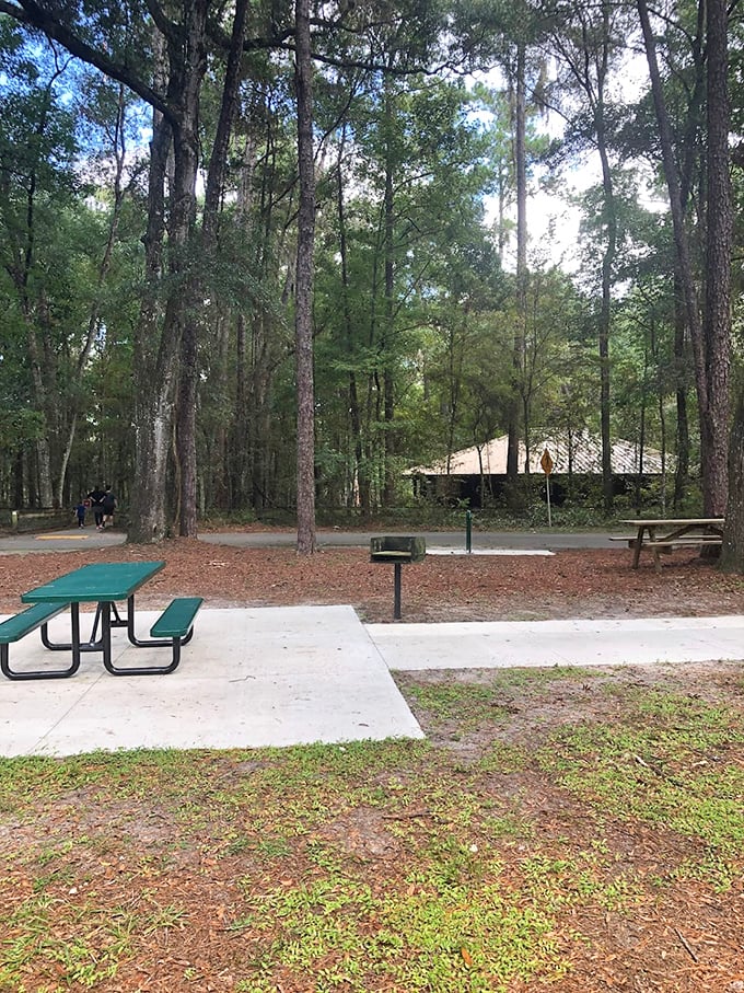 Even picnic tables look more inviting when surrounded by towering pines. The perfect spot for a sandwich break before tackling those 232 stairs.