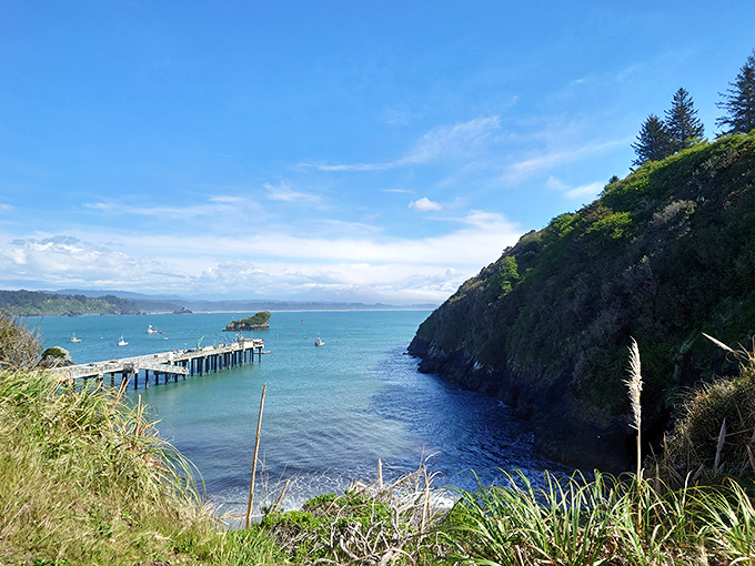 This isn't just a pier—it's Trinidad's handshake with the ocean, extending into waters so blue they make the sky look like it's not really trying.